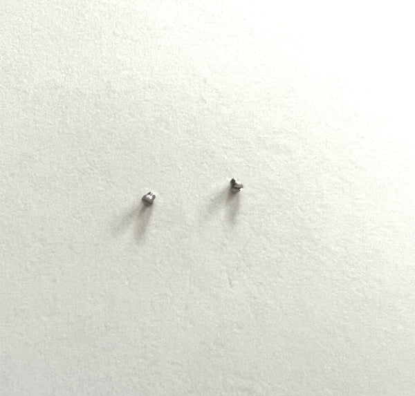 OMEGA SCREW (SET OF 2) FOR OMEGA STEEL WATCH BRACELET | W.B.E